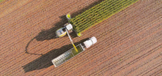 Earth observation data provides unique insights | Orange Business Services