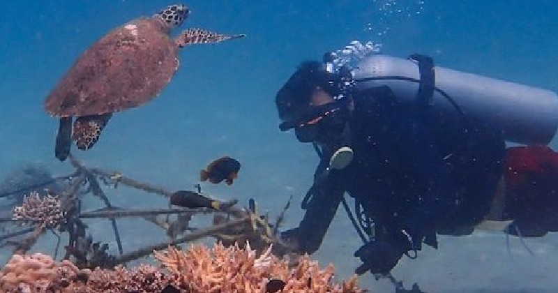 Tēnaka partners with Orange Business | Orange Business